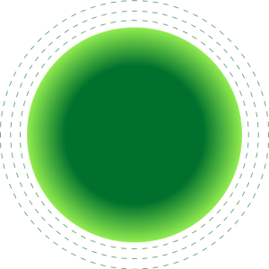 Orbit Foods Website